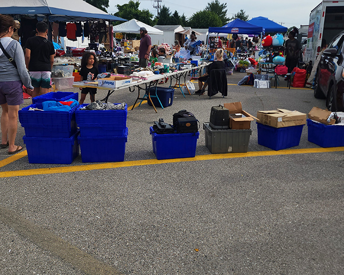 At 8th Ave Flea Market, blue bins hold mysteries waiting to be discovered by shoppers with detective-like determination.