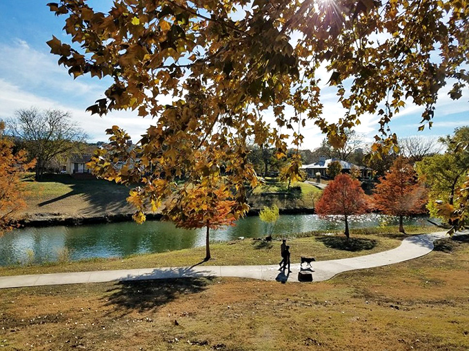 Fall in Boerne paints the landscape in colors so vivid, you'll wonder if Mother Nature hired a new interior decorator.