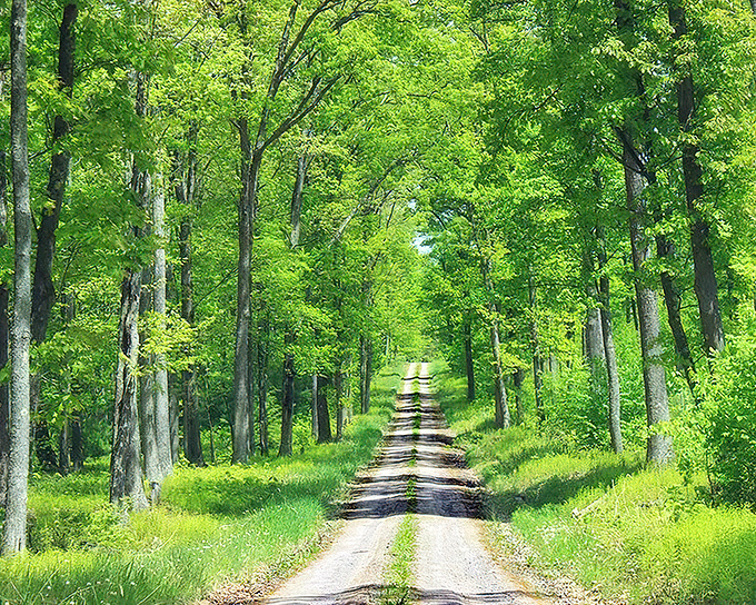 On the Bucktail Trail, every winding road feels like an invitation&mdash;guiding you deeper into Pennsylvania&rsquo;s untamed beauty.