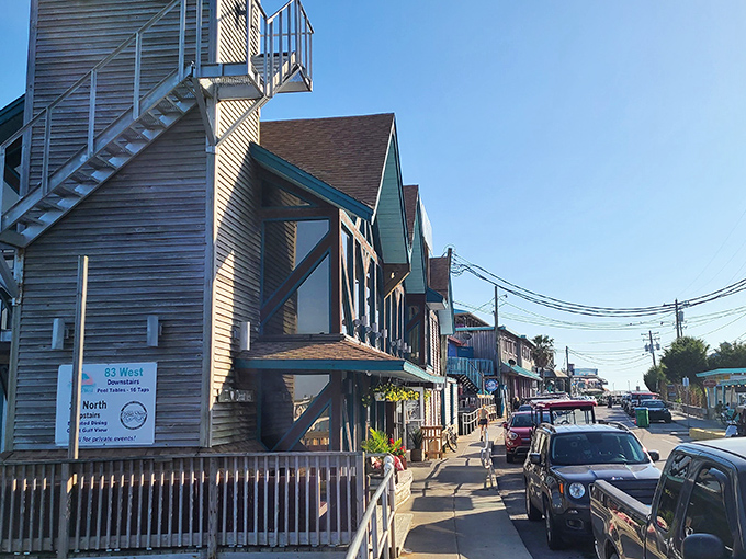 Bright shops and waterfront views make every walk through Cedar Key a delightful mix of small-town charm and seaside beauty.