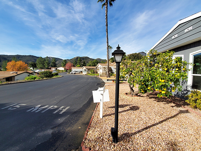 Hillside homes with views that would cost millions elsewhere. Here, they're just called "Tuesday."
