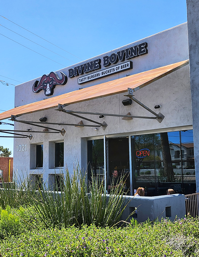 Modern meets meaty at Divine Bovine. This Tucson gem's clean lines and clever logo promise a religious experience for burger devotees.