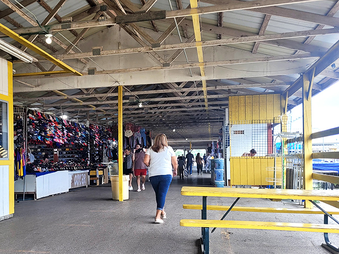 Walking these well-worn aisles feels like stepping into a treasure cave where everyday items mingle with unexpected finds.