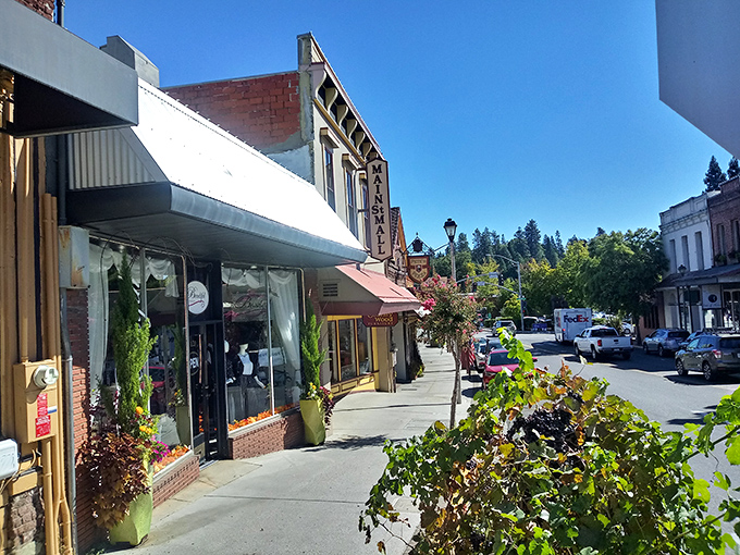Main Street in Grass Valley offers a perfect small-town stroll. The historic buildings now house shops that invite exploration.