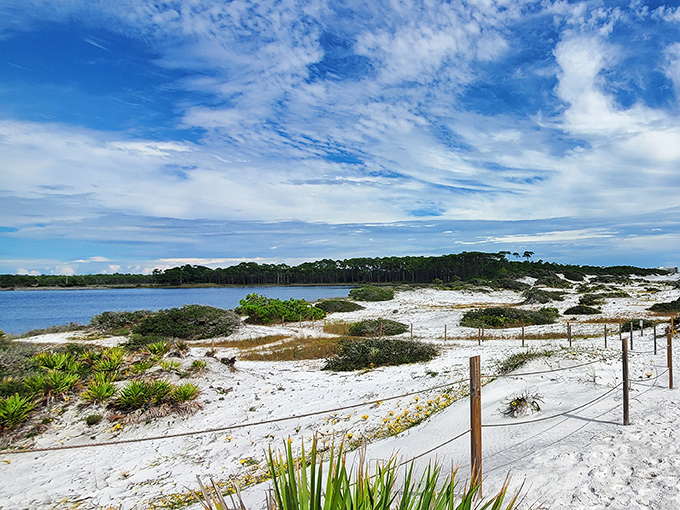 Coastal dune lakes are Florida's unicorns &ndash; rare, magical, and worth the hunt through sandy trails.