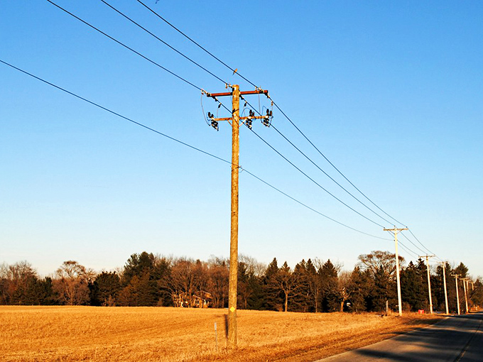 Golden fields stretch beneath a clear blue sky in Greenwood, where quiet country roads and power lines highlight peaceful rural Illinois charm.