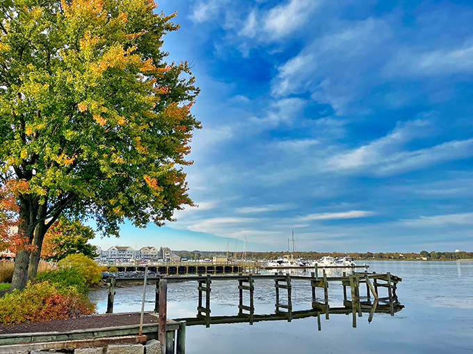Havre de Grace's waterfront promenade invites leisurely strolls where the Susquehanna meets the Chesapeake—nature's version of a perfect blind date.