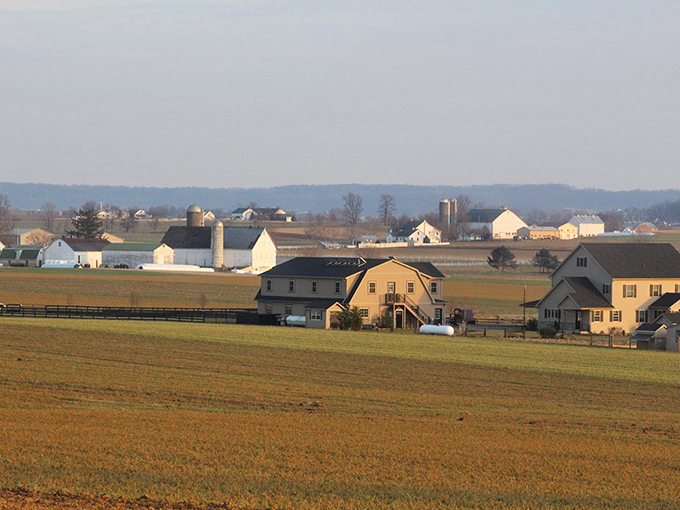 That moment when you realize Amish farmers have been doing "organic" since before it was cool.