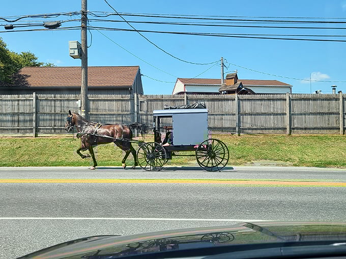 Amish buggies share the road, reminding us that some folks never needed GPS.