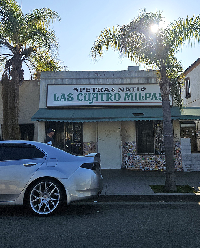 The palm trees say California, but the food screams San Diego-style Mexican that will ruin all other tacos for you.