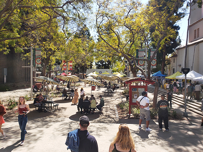 Shady oasis shopping! Melrose Trading Post's tree-lined pathways create the perfect setting for discovering unique treasures while escaping the California sun.
