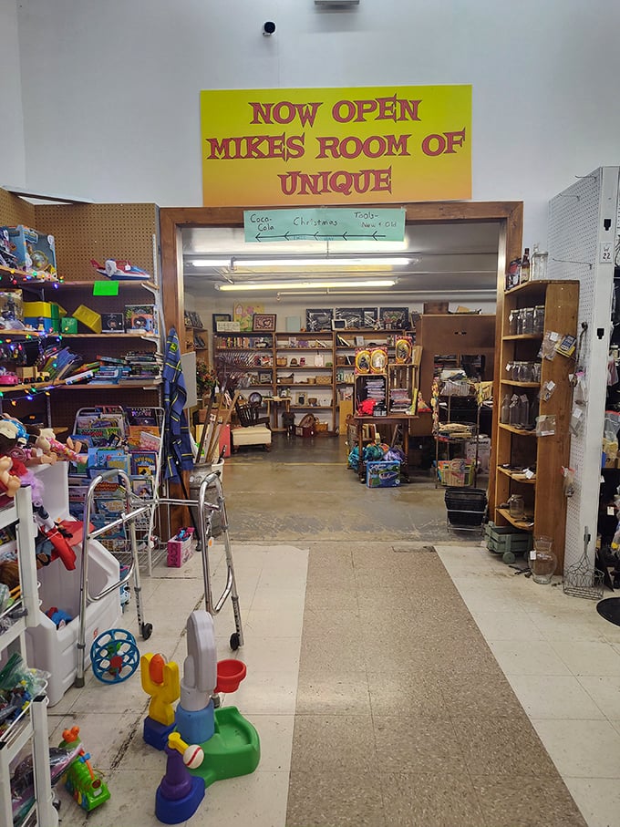 Mike's "Room of Unique" beckons like a portal to childhood wonder, where every shelf holds mysteries waiting to be solved.