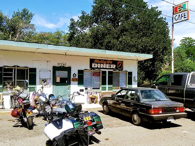 This unassuming roadside stop attracts both locals and motorcyclists seeking authentic diner magic.