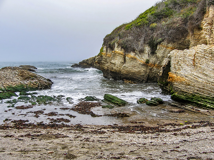 The meeting of land and sea creates a dramatic coastline that makes Montana de Oro a photographer's dream.