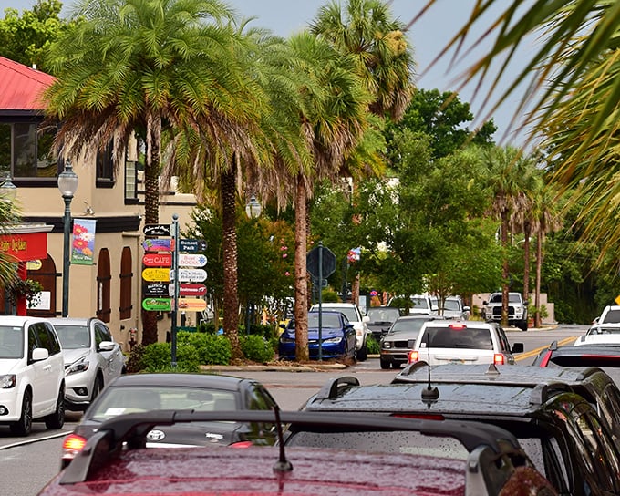 Beach houses line the road in Mount Dora, where coastal living meets small-town charm in perfect harmony.