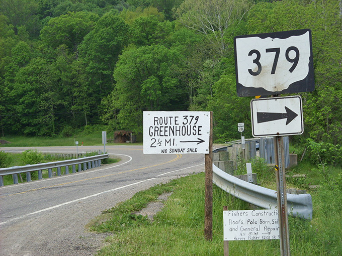 "Take me home, country roads..." Route 78's peaceful curves and colorful canopy make every drive feel like a homecoming.
