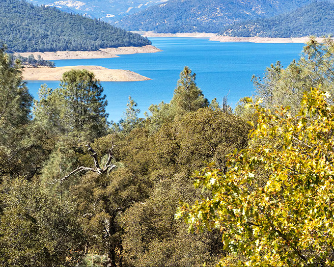 Nature's blue therapy! Paradise offers lake views that would cost millions elsewhere, where the morning light dancing across water becomes your daily meditation.