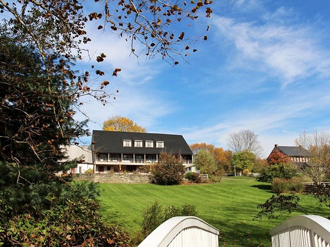 That little bridge probably leads to the kind of peaceful thinking spot therapists charge $200 an hour to recreate.