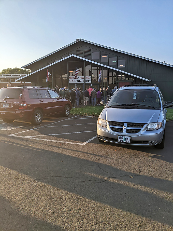 Morning light bathes Picc-A-Dilly Flea Market as early birds line up, knowing the best vintage treasures won't last past noon.