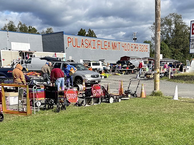 From stop signs to lawn mowers, Pulaski's eclectic inventory never disappoints. One person's "why?" is another's "why not!"