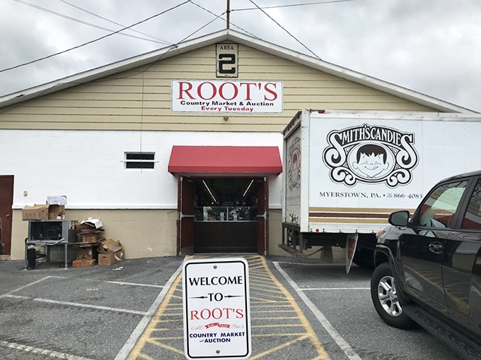 Small building, big treasures! Root's Country Market's unassuming exterior hides a world of wonders waiting for Tuesday's treasure hunters.
