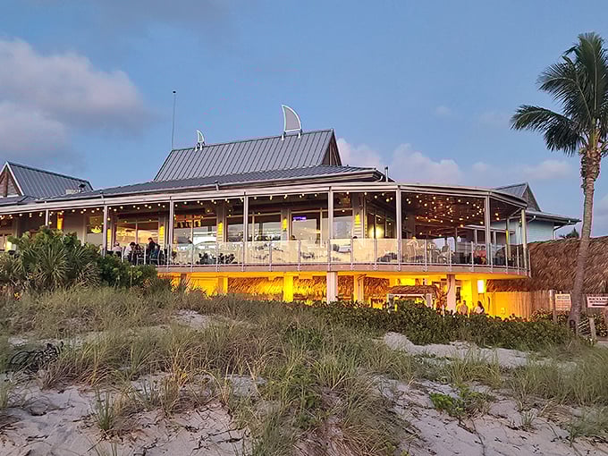 At Sharky's, even the pelicans stop by to check out the scene. This Venice landmark serves up views as delicious as its seafood.