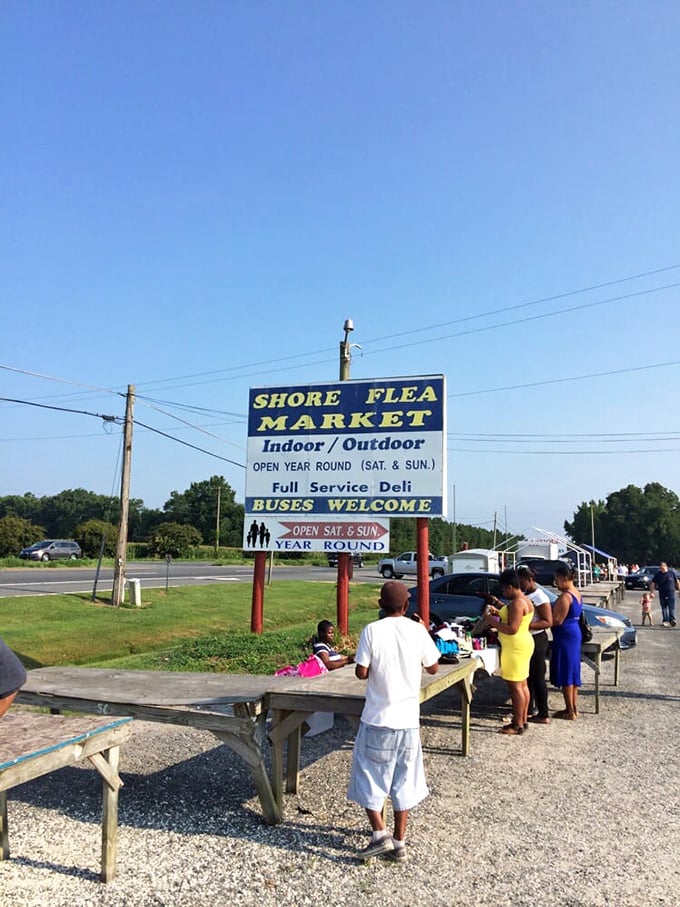 Weekend warriors gather at Shore Flea Market where tables of treasures await under the vast Virginia sky.