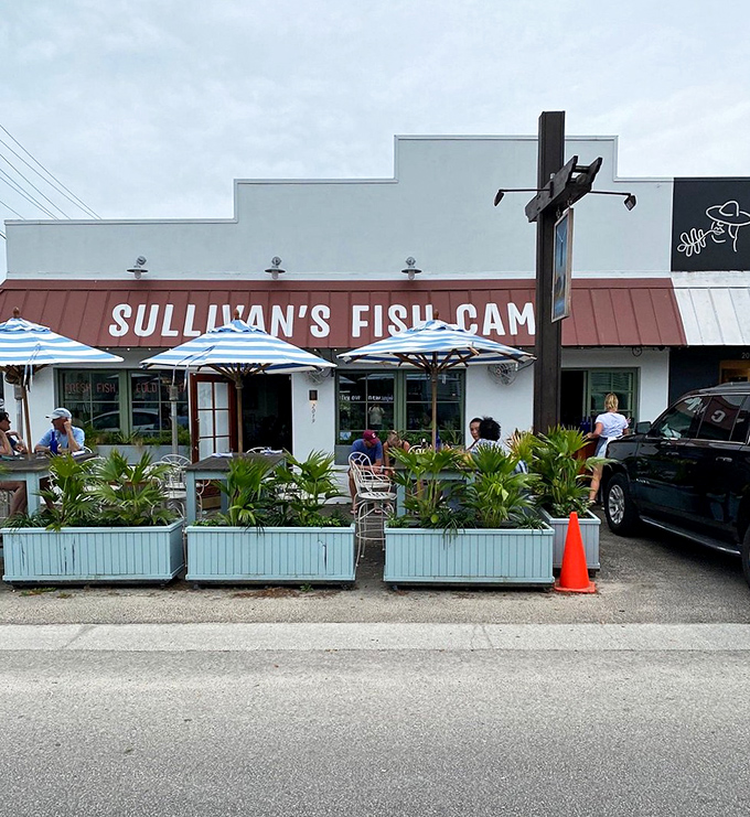 Those cheerful umbrellas and relaxed vibes create the perfect backdrop for discovering your new favorite slice of paradise.