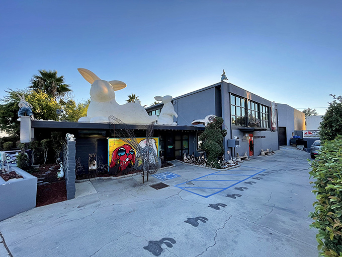 This suburban house transformed into rabbit paradise proves that following your passion pays off beautifully.