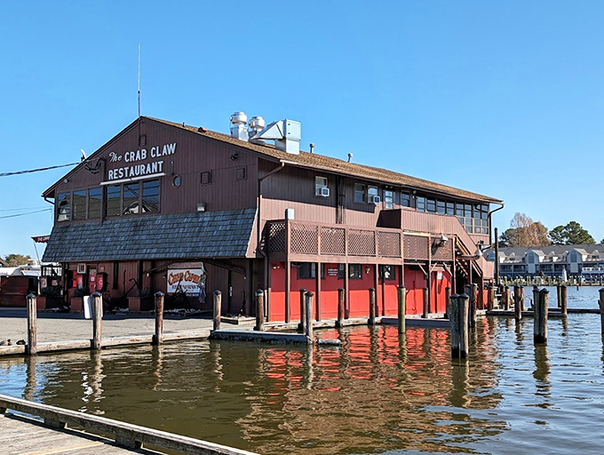 Perched over the water like a seabird eyeing its next meal, The Crab Claw delivers bay-to-table perfection.
