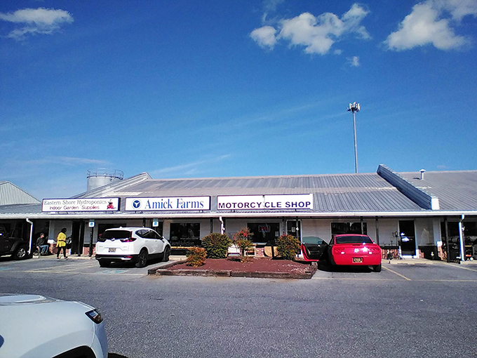 Blue skies frame this marketplace where farm-fresh goods meet road-ready motorcycles in perfect harmony.