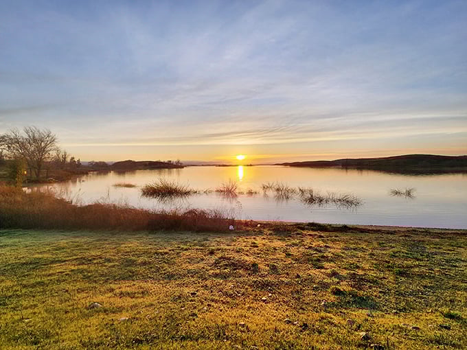 Golden hour perfection! Turlock Lake's sunset transforms an ordinary landscape into something worthy of a gallery wall.
