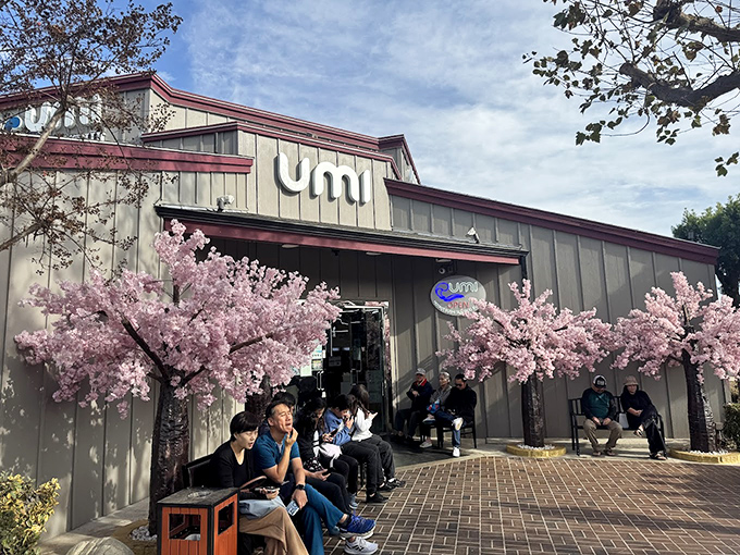 Where patient diners gather under pink blossoms, waiting for their chance at hotpot glory. Worth every minute!