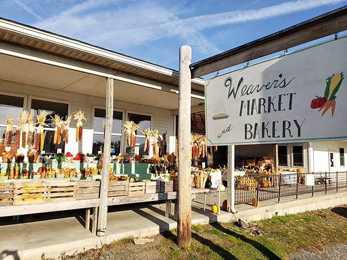 Where farm-fresh produce meets pie perfection. Those corn stalks aren't just decoration—they're ingredients waiting their turn!