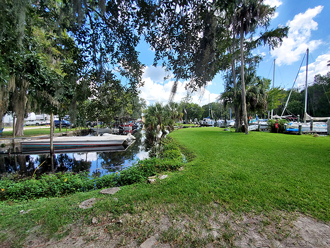 In Yankeetown, even the trees seem to relax, their Spanish moss swaying gently above boats waiting for tomorrow's fishing trip.