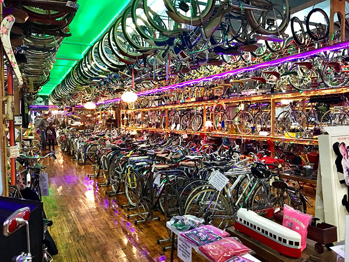 Neon lights transform the space into a psychedelic bicycle dreamscape. It's Studio 54 for Schwinns&mdash;minus the velvet rope.