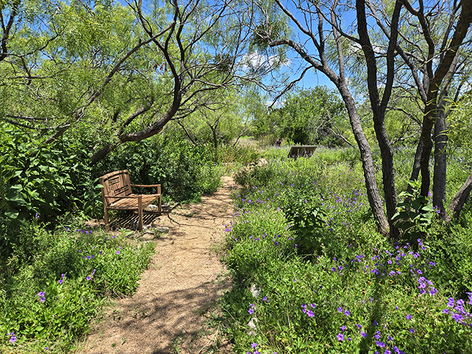 Nature doesn't just grow in Acton Nature Center&mdash;it welcomes you with a bench invitation to sit awhile and forget your phone exists.