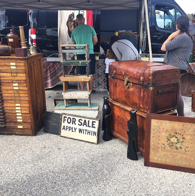 That weathered trunk holds more character than most reality TV stars and twice the stories.