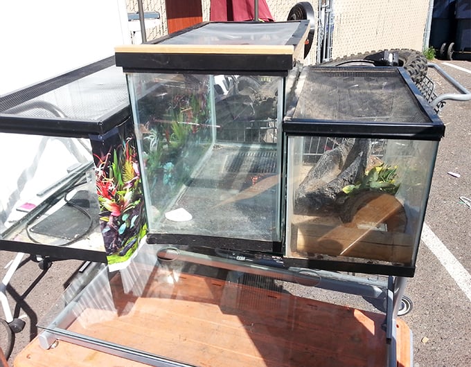 Former fish homes seeking new aquatic residents! These tanks once held someone's beloved guppies and now await your underwater vision&mdash;just add water and imagination. 