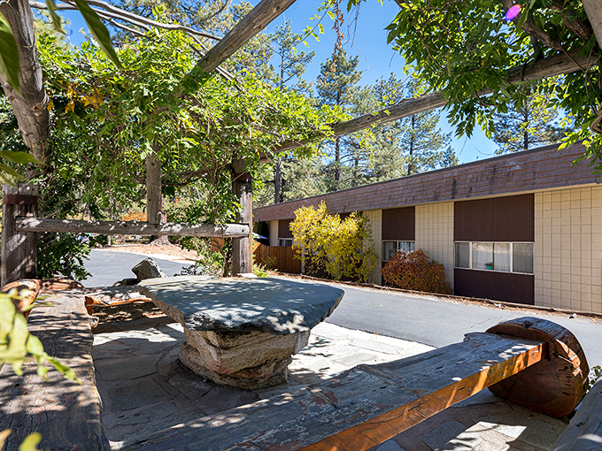 Nature's pergola! Dappled sunlight filters through this rustic outdoor space where conversations flow as easily as the mountain breeze.