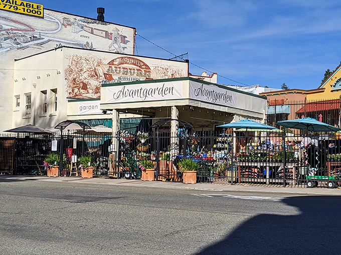 Avantgarden offers a feast for plant lovers and window-shoppers alike. Behind those wrought iron gates lies a botanical wonderland that would make any porch jealous.