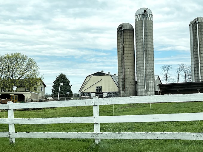 Those towering silos aren't architectural statements but practical necessities, storing the bounty that sustains both farm and community.