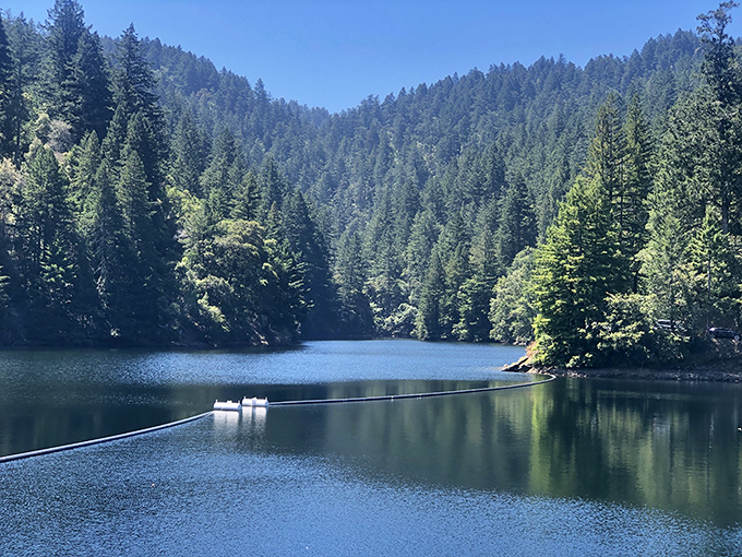 Another serene lake nestled among towering pines&mdash;the kind of place that makes you whisper even though there's nobody around to disturb.