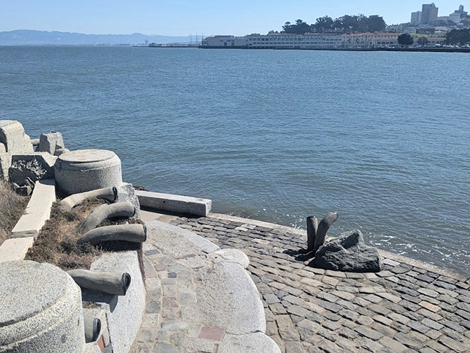 The pipes emerge from stone like prehistoric periscopes, ready to transmit the ocean's secrets to curious ears.