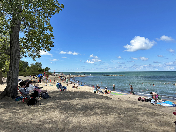 Summer's perfect equation: blue skies plus warm sand plus cool water equals hundreds of happy beachgoers living their best lake life.