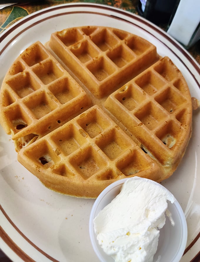 The Belgian waffle arrives like a golden canvas, perfectly crisp outside, fluffy inside, awaiting its destiny with that side of whipped cream.