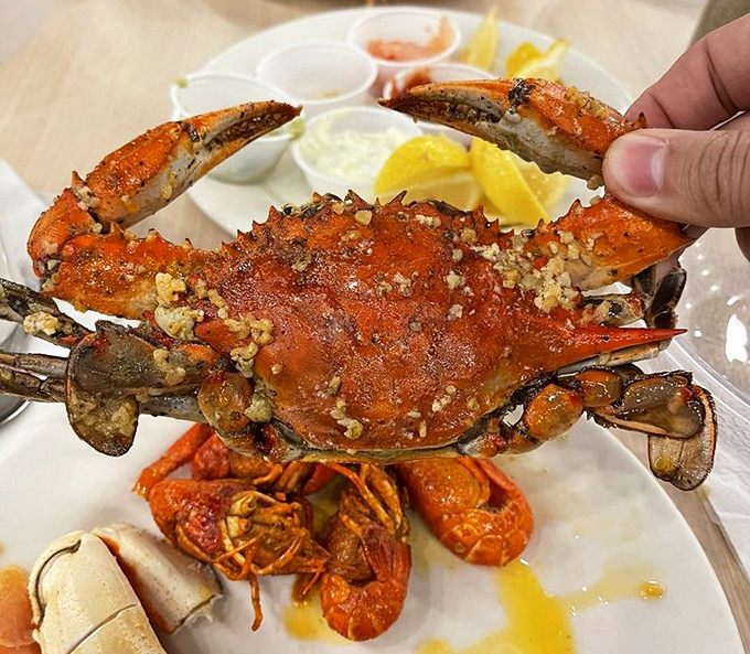 This seasoned blue crab, adorned with spices and flanked by shrimp, is basically the seafood equivalent of winning the lottery.