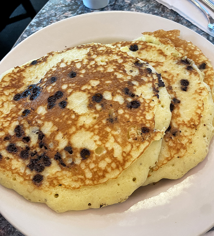 Blueberry pancakes with the perfect golden-to-fluffy ratio. Each dark burst of fruit is like nature's candy hiding in a breakfast cloud.