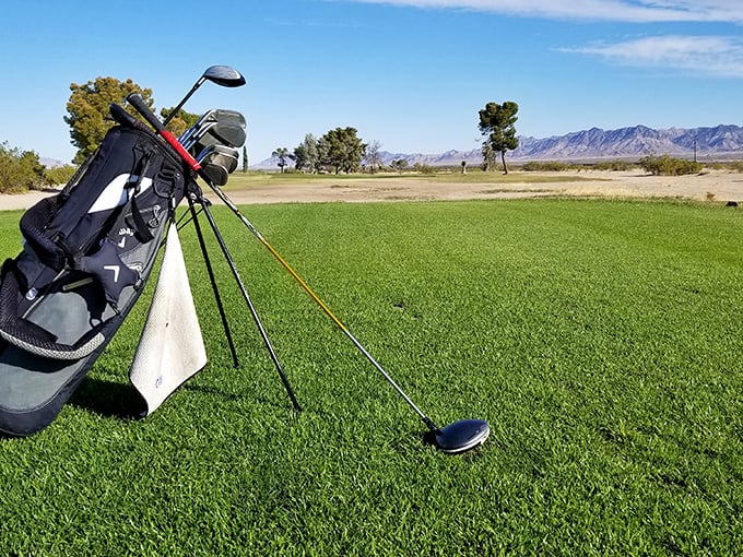 The municipal golf course where par matters more than your designer outfit or country club membership.