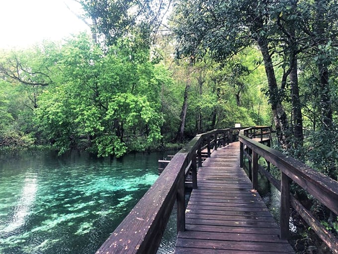 Not all paths to paradise are difficult. This wooden boardwalk offers front-row views of the springs without getting your feet wet&mdash;unless you want to.